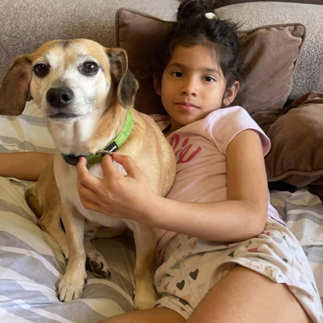 From a Puppy in Need to a Forever Friend: Buddy’s Journey — HART For ...