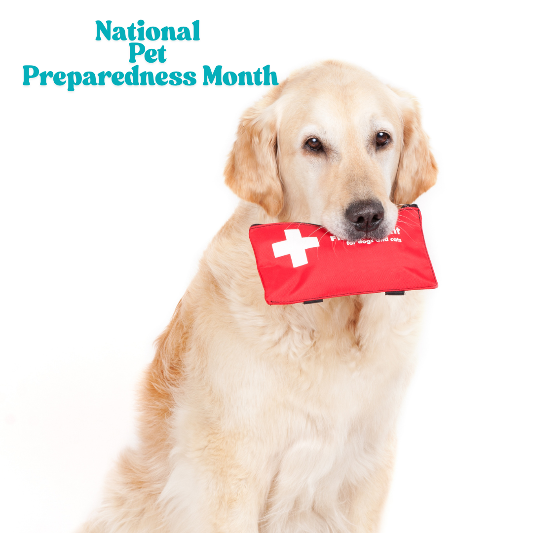 June is National Pet Preparedness Month: Is Your Pet Ready? — HART For ...
