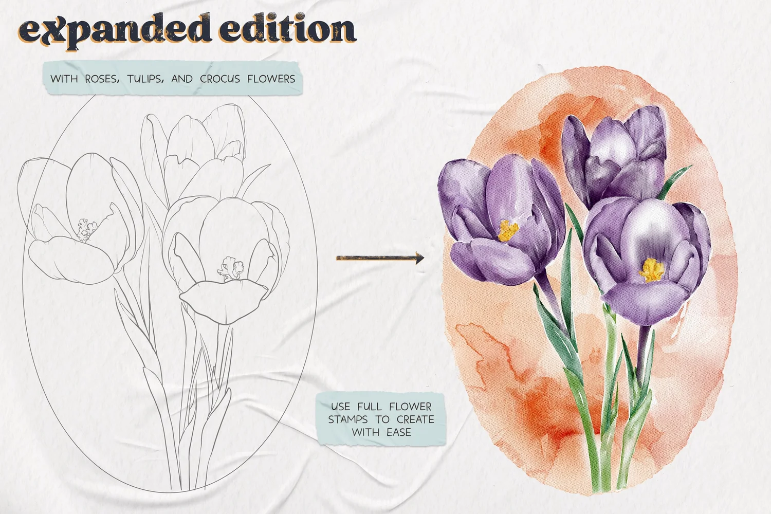 Flooded Watercolor Brushes for Procreate — wooly pronto