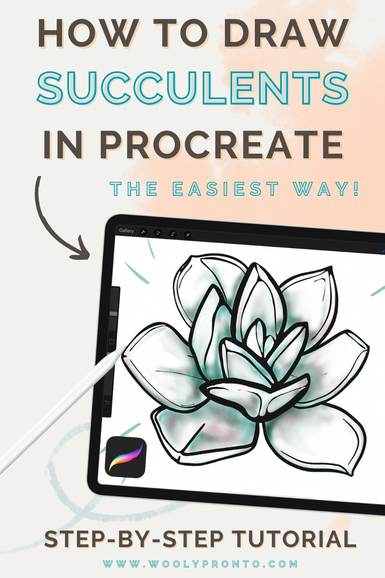 Easiest Way to Draw Succulents in Procreate — wooly pronto
