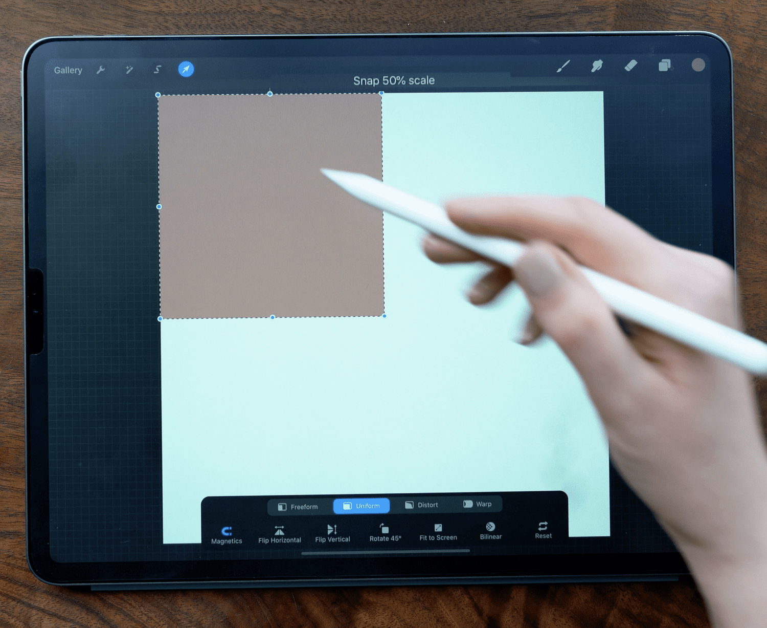 How To Create Seamless Pattern Repeats in Procreate — wooly pronto
