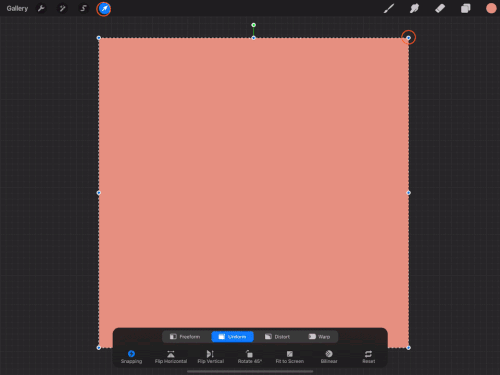 How To Create Seamless Pattern Repeats in Procreate — wooly pronto