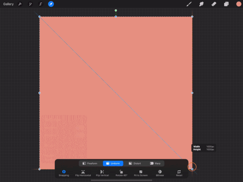 How To Create Seamless Pattern Repeats in Procreate — wooly pronto