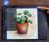 How to Get the Recolor Tool in Procreate 5X — wooly pronto