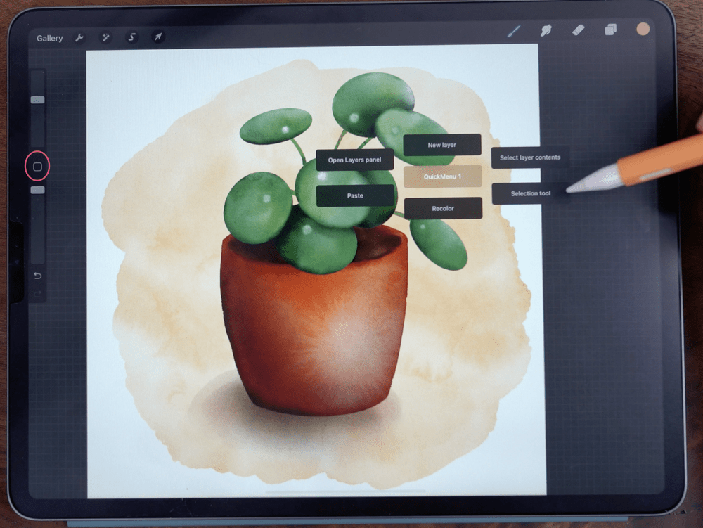 How to Get the Recolor Tool in Procreate 5X — wooly pronto