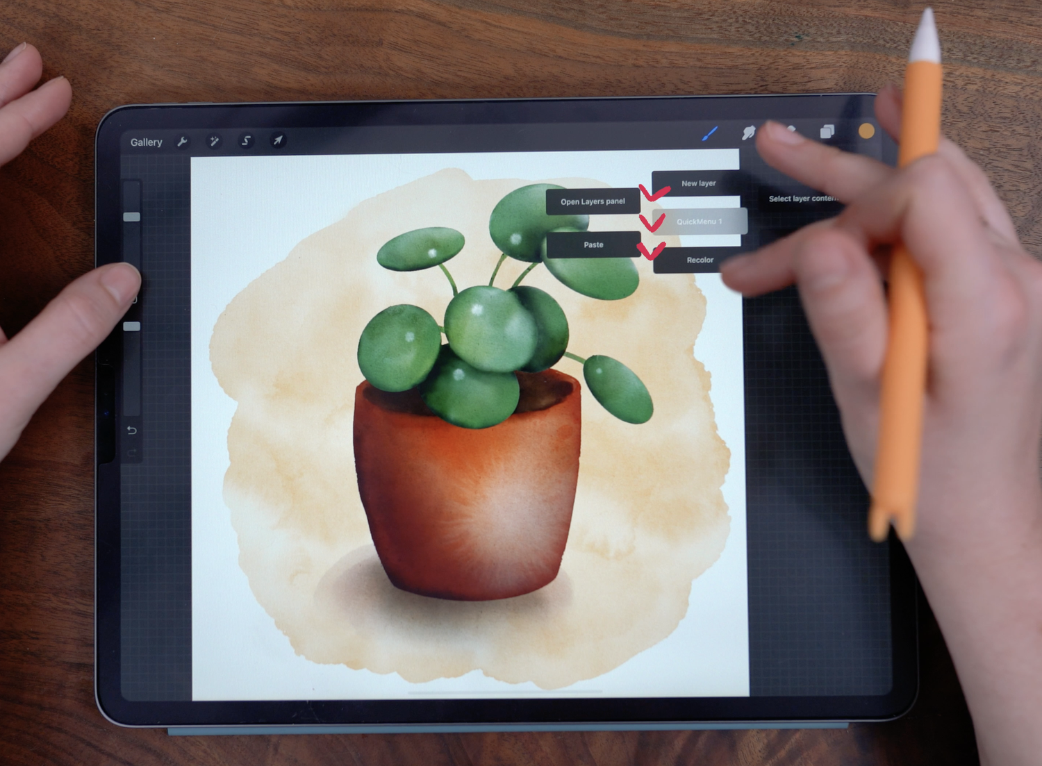 How to Get the Recolor Tool in Procreate 5X — wooly pronto