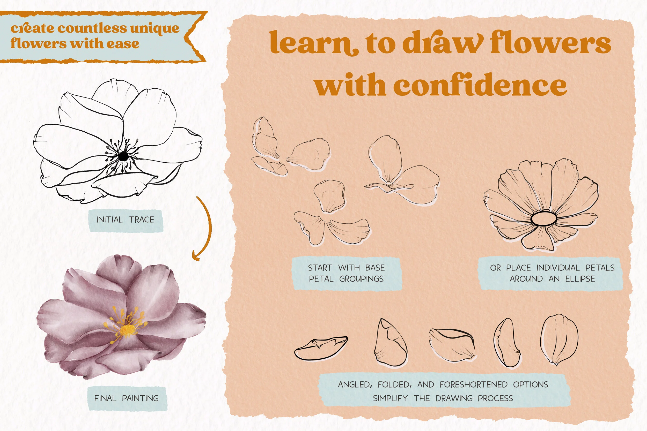 Succulent Builder Procreate Brushes — wooly pronto