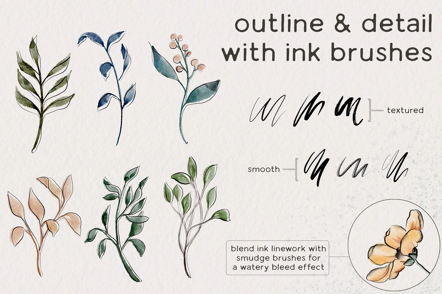 Succulent Builder Procreate Brushes — wooly pronto