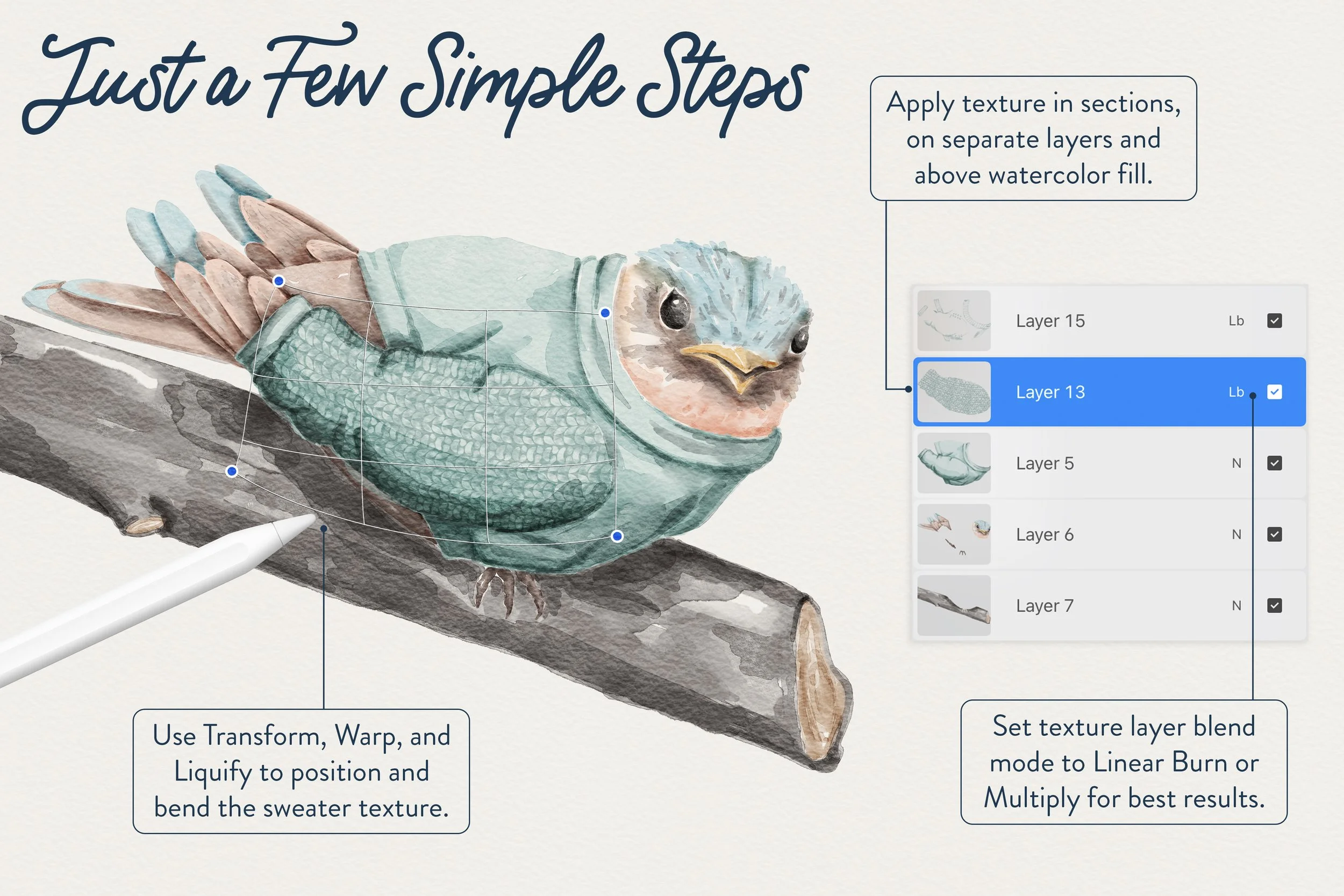 Products — wooly pronto