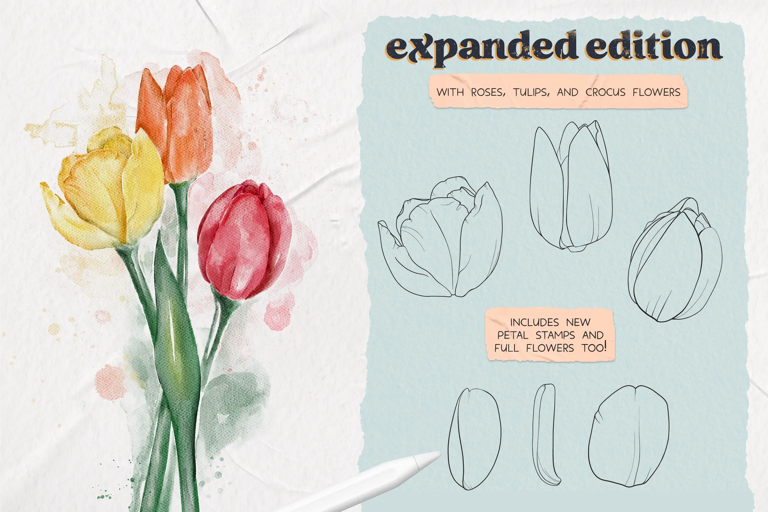 Flooded Watercolor Brushes for Procreate — wooly pronto
