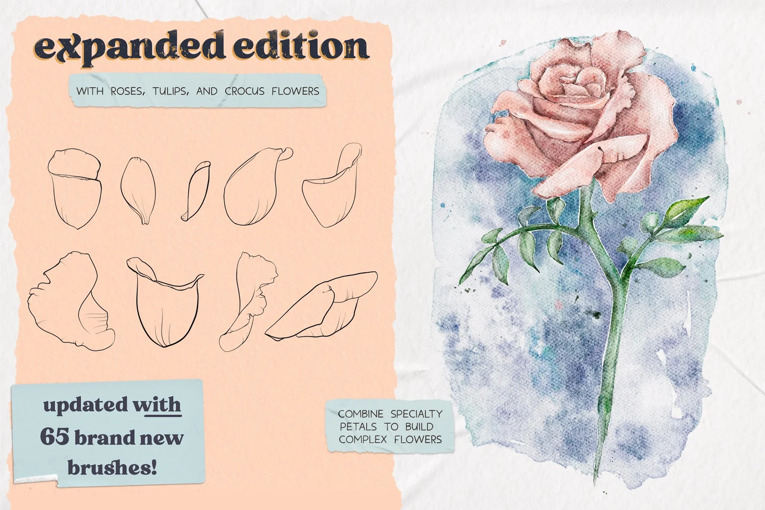 Flooded Watercolor Brushes for Procreate — wooly pronto