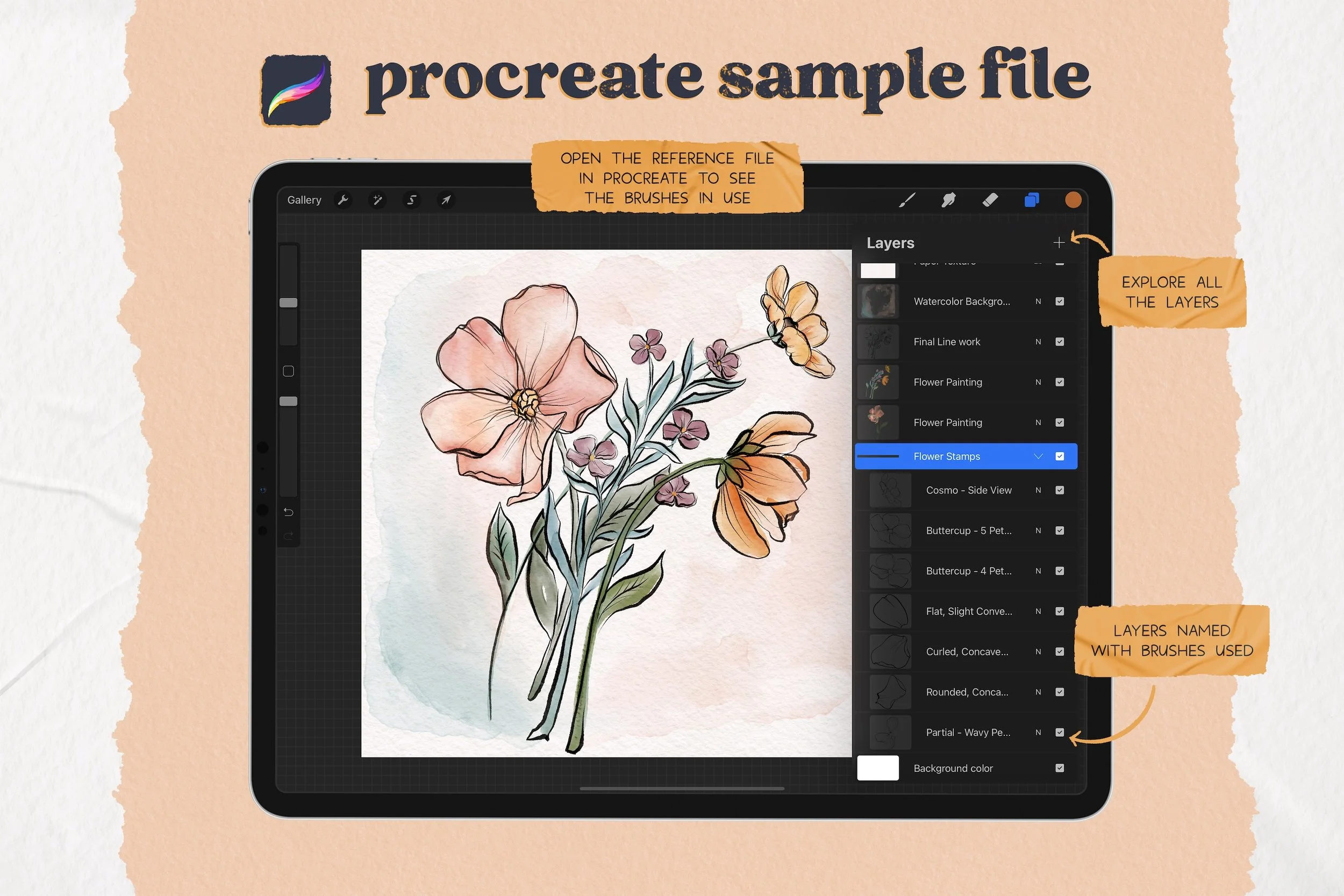 Ink & Watercolor Brushes for Procreate — wooly pronto