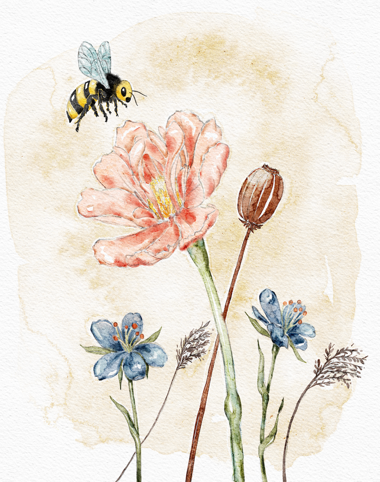 Realistic Watercolor in Procreate with AquaReal 2 Brushes — wooly pronto