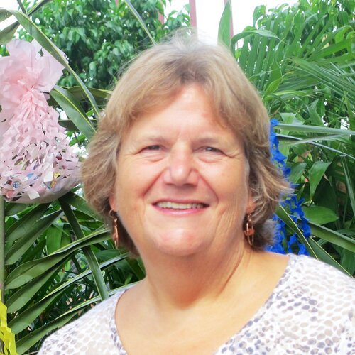 Sobre el CIS — CIS | El Salvador