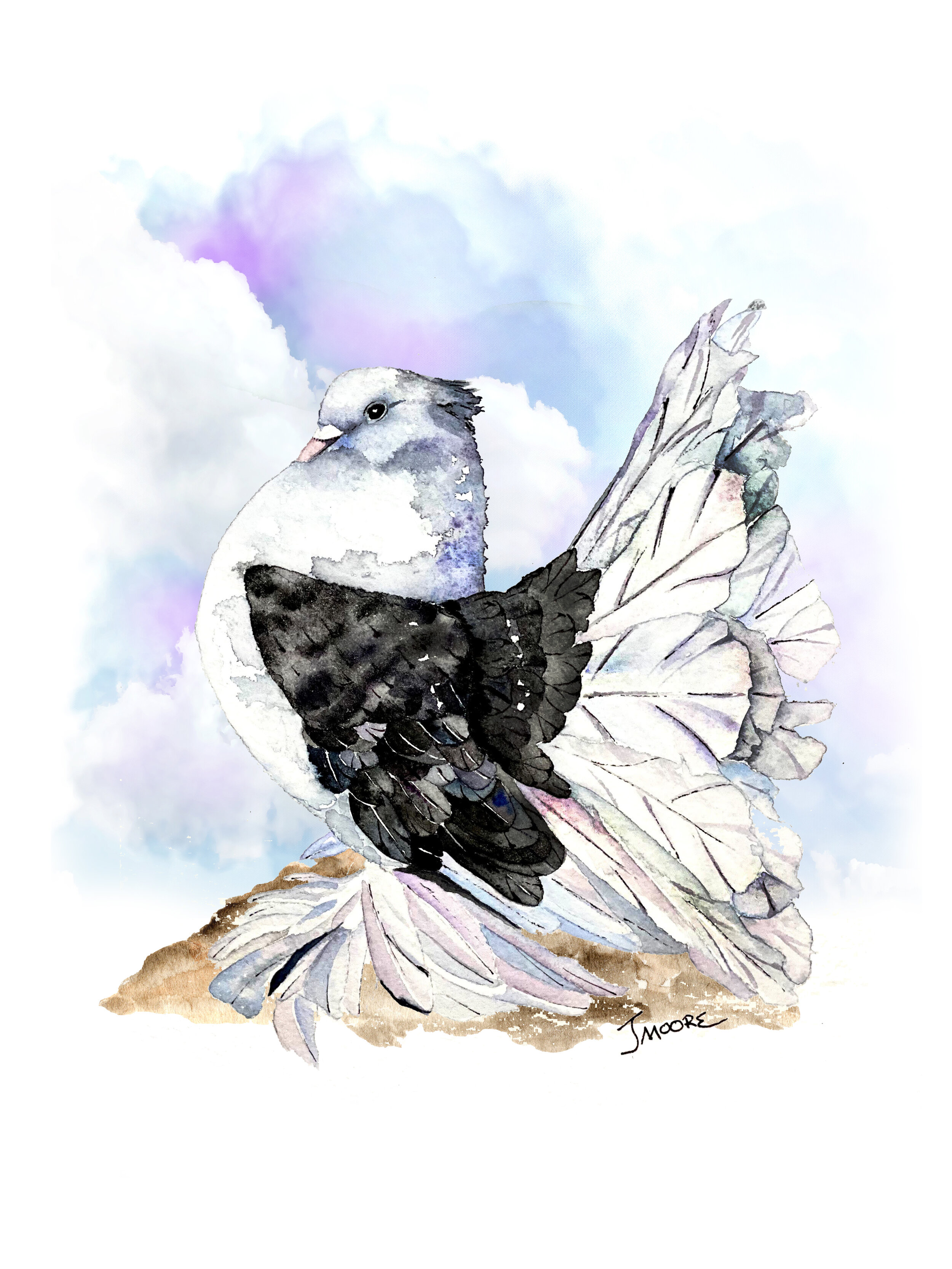 Lady Gouldian Finches — Artwork by Jeffrey A. Moore