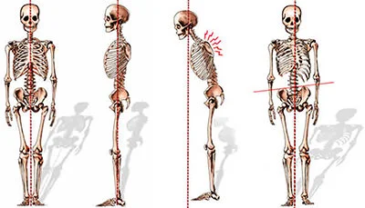 Spinal Anatomy – The American Center for Spine and Neurosurgery — ACSN