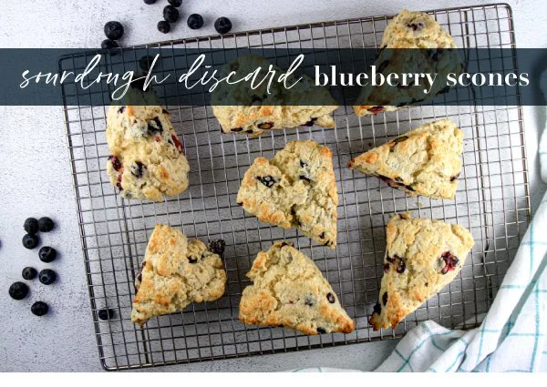 Sourdough Discard Blueberry Scones — Cooking at the Cottage