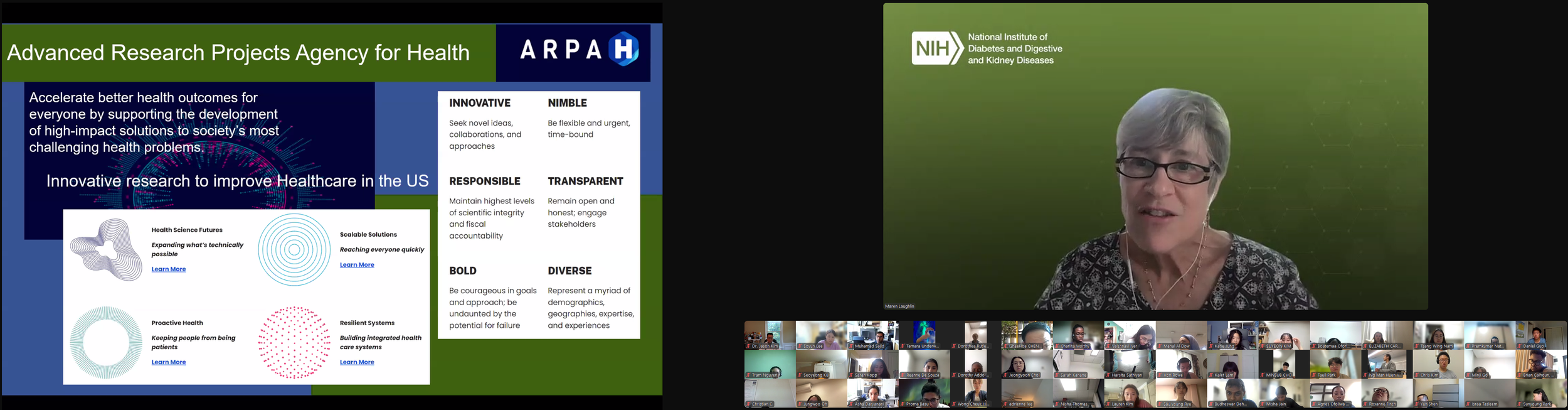 Diabetes Virtual Camp — Newsletter Overview