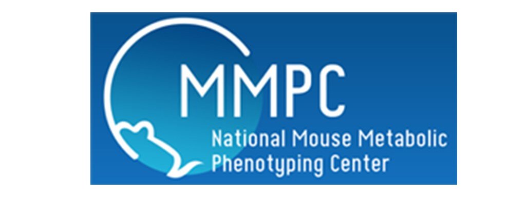 Diabetes Virtual Camp