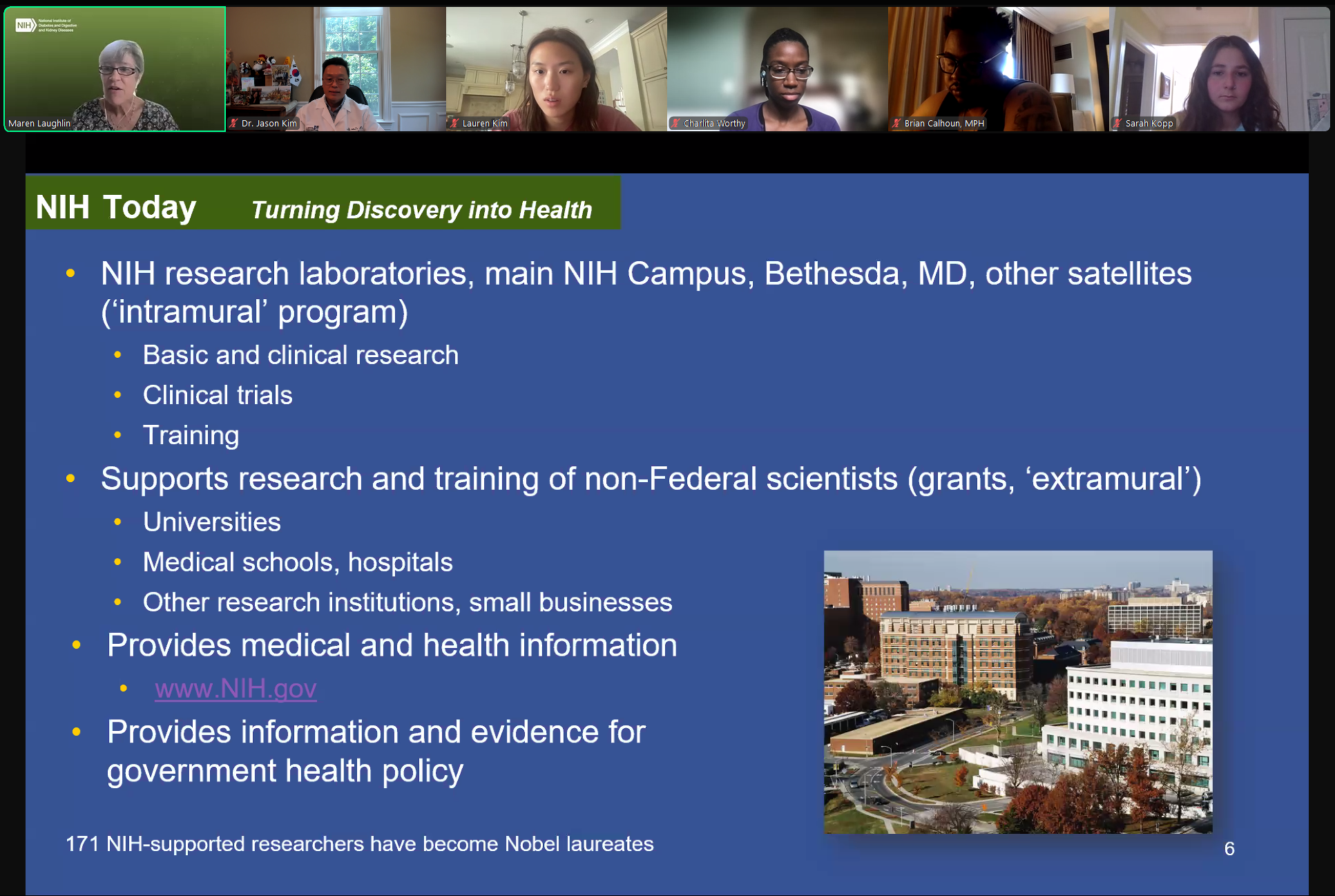 Diabetes Virtual Camp — Newsletter Overview