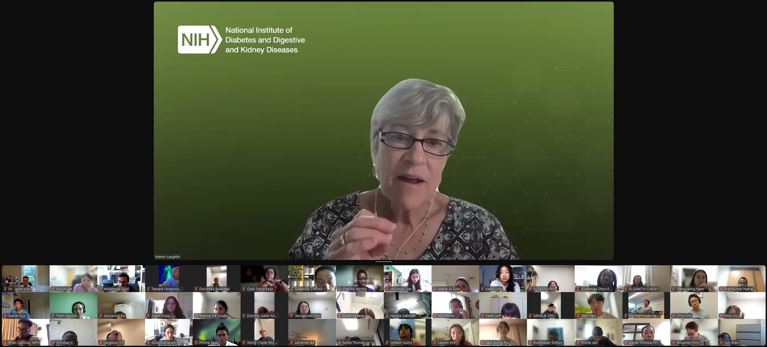 Diabetes Virtual Camp — Newsletter Overview