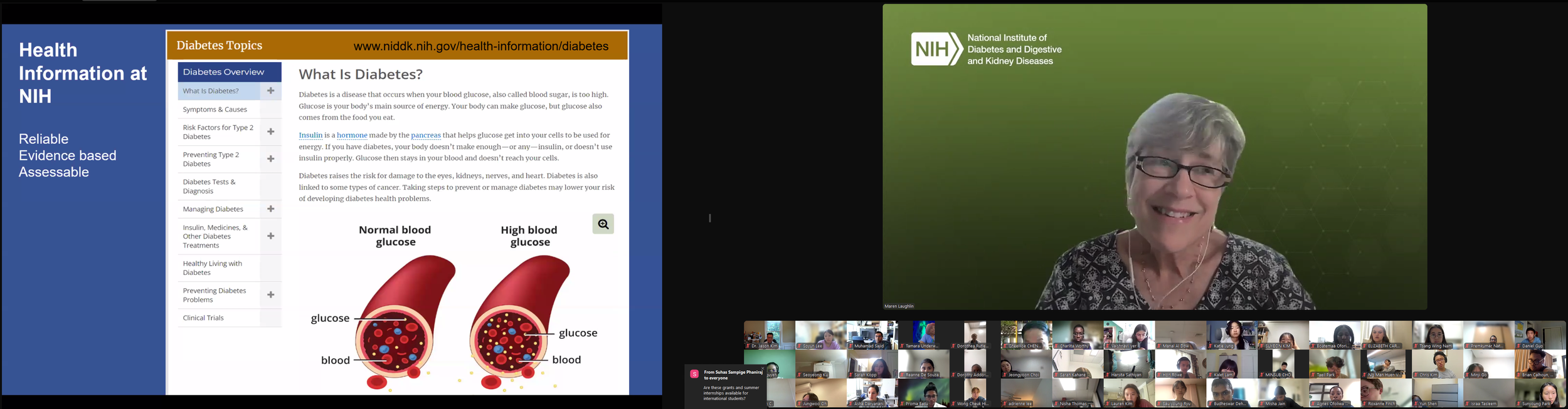 Diabetes Virtual Camp — Newsletter Overview