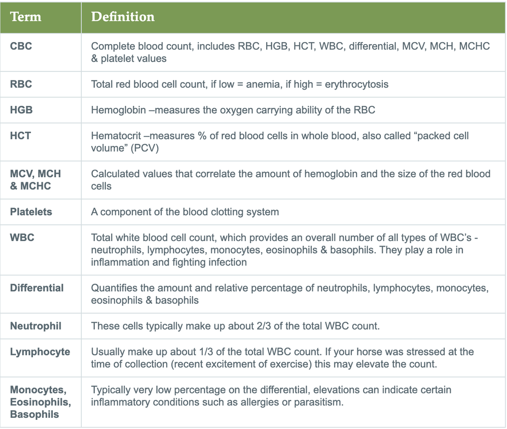 What do Complete Blood Count and Chemistry Profile terms mean? — McKee ...