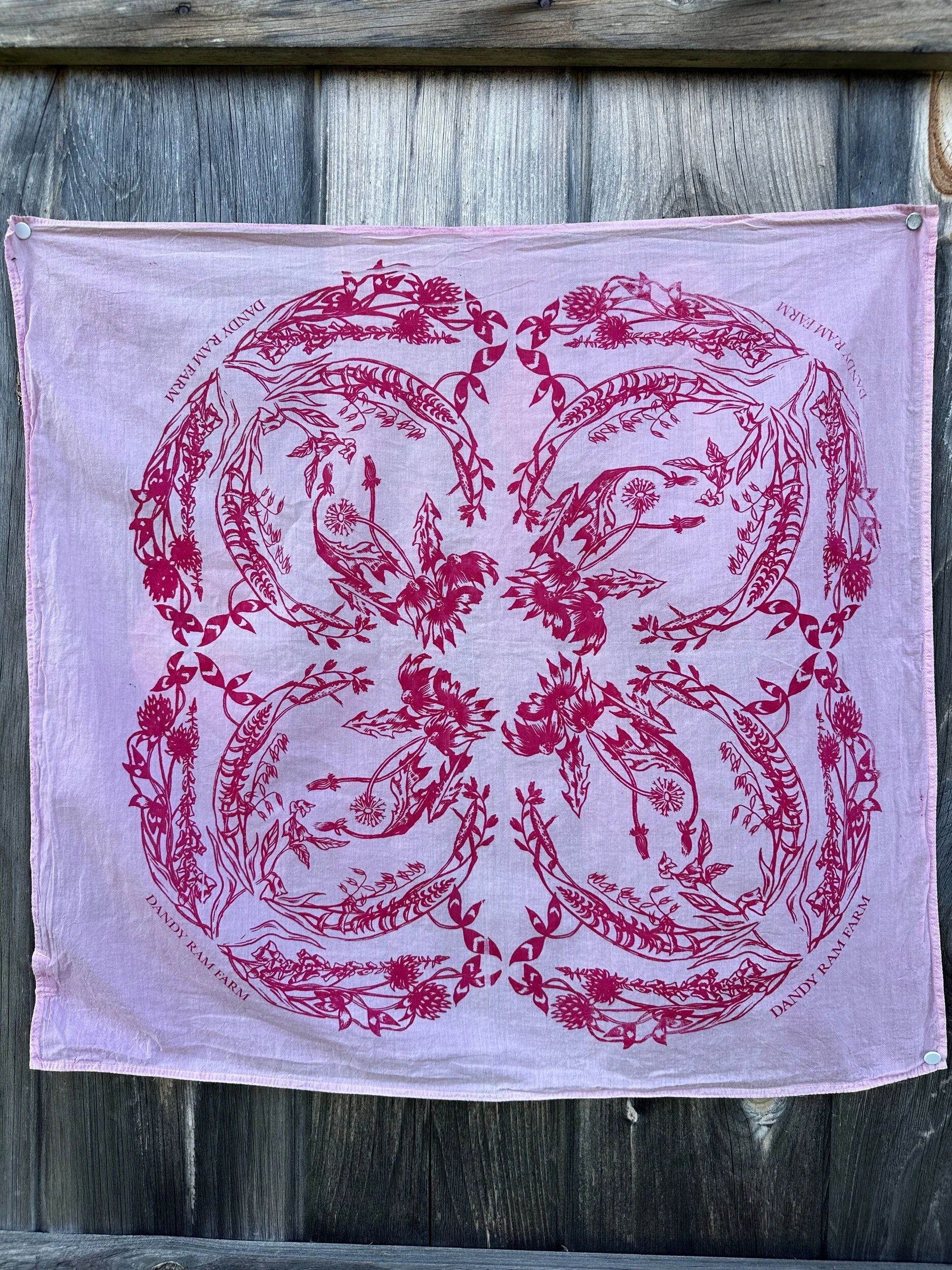 Shop — DANDY RAM FARM