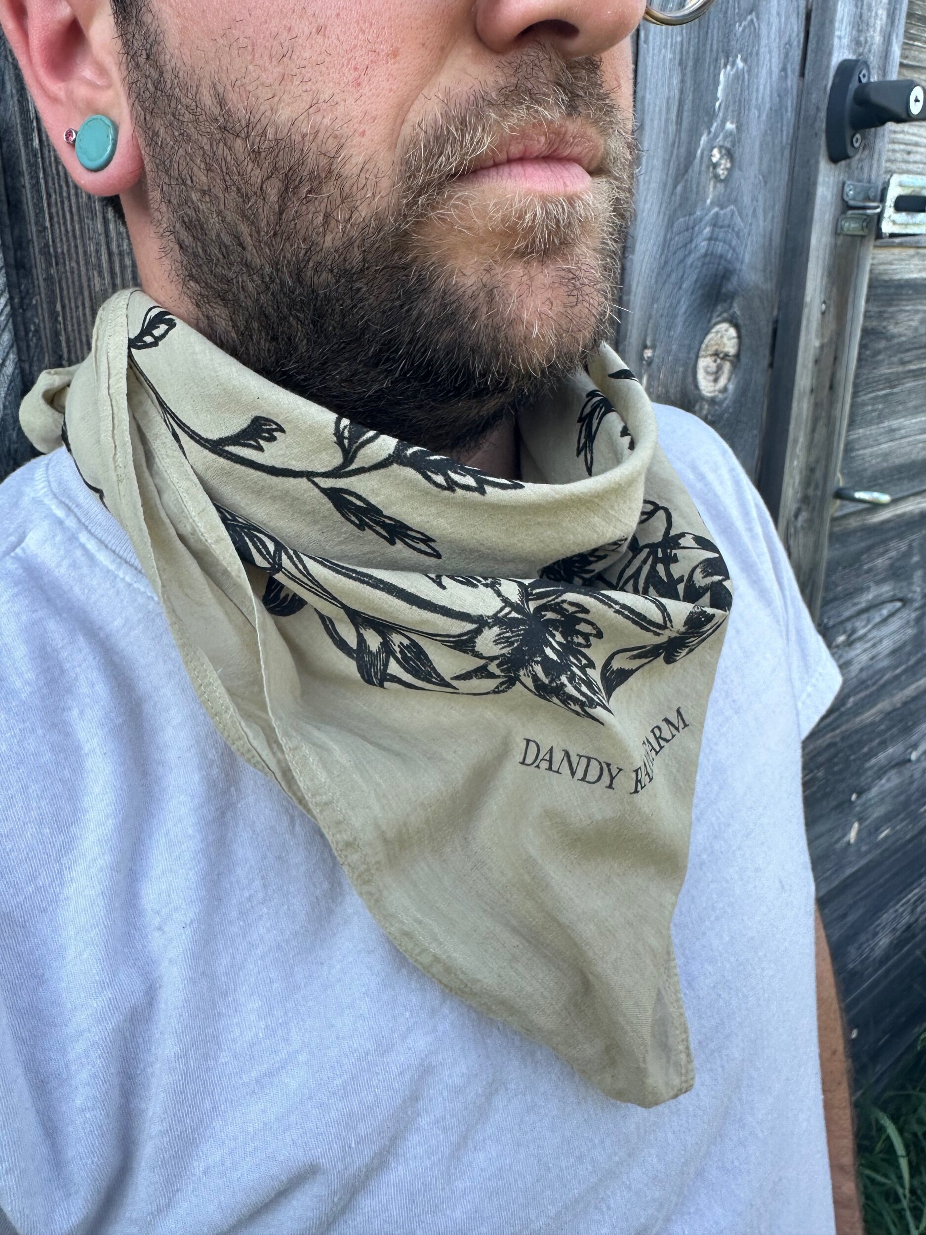 Shop — DANDY RAM FARM
