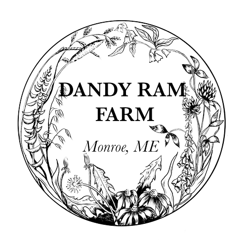 About 3 — DANDY RAM FARM