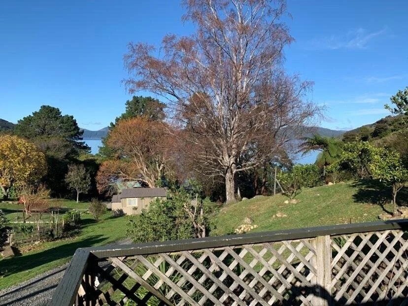 Services 1 — RESOLUTION BAY