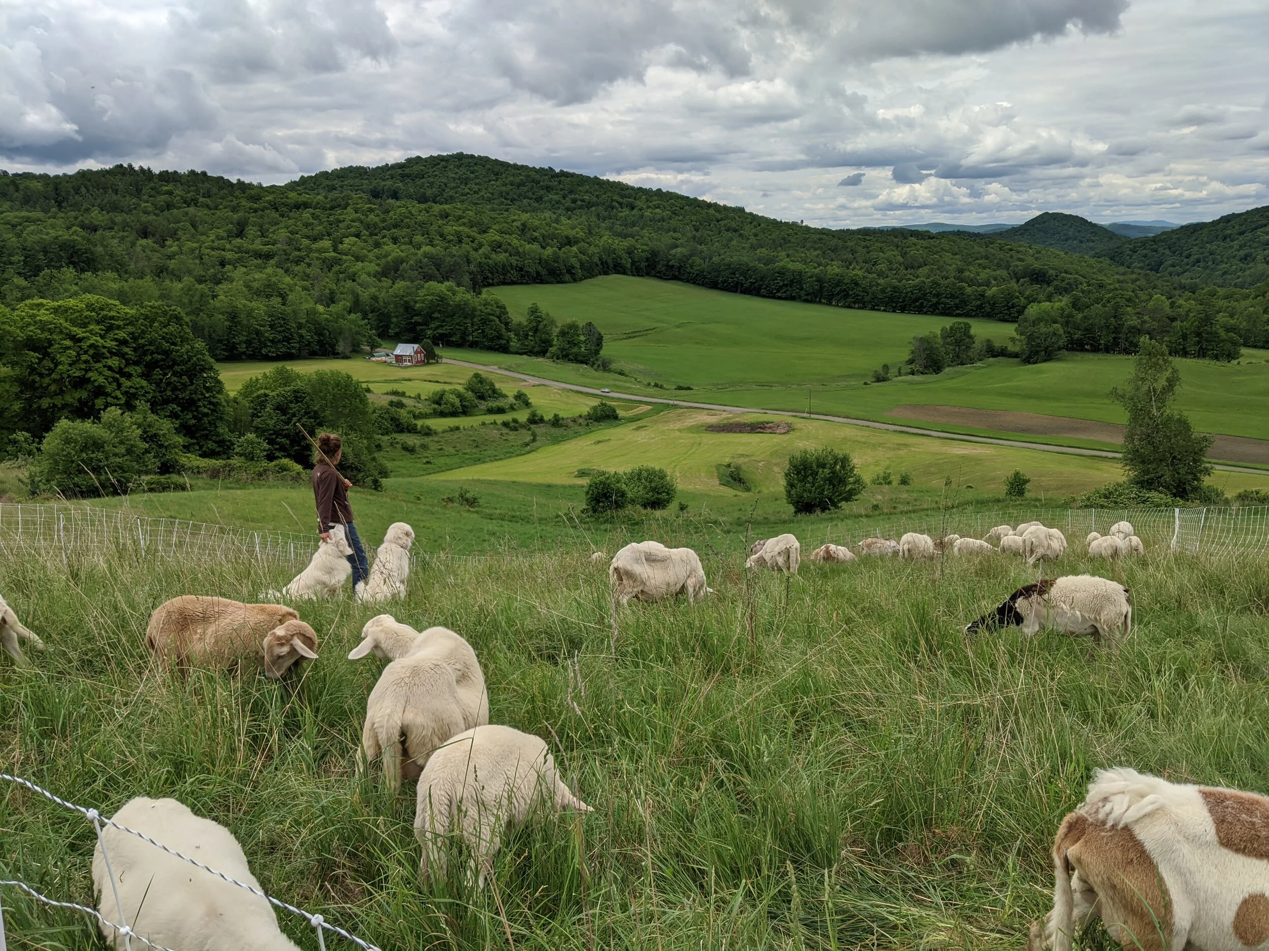 The Farmers — WINDING BROOK FARM