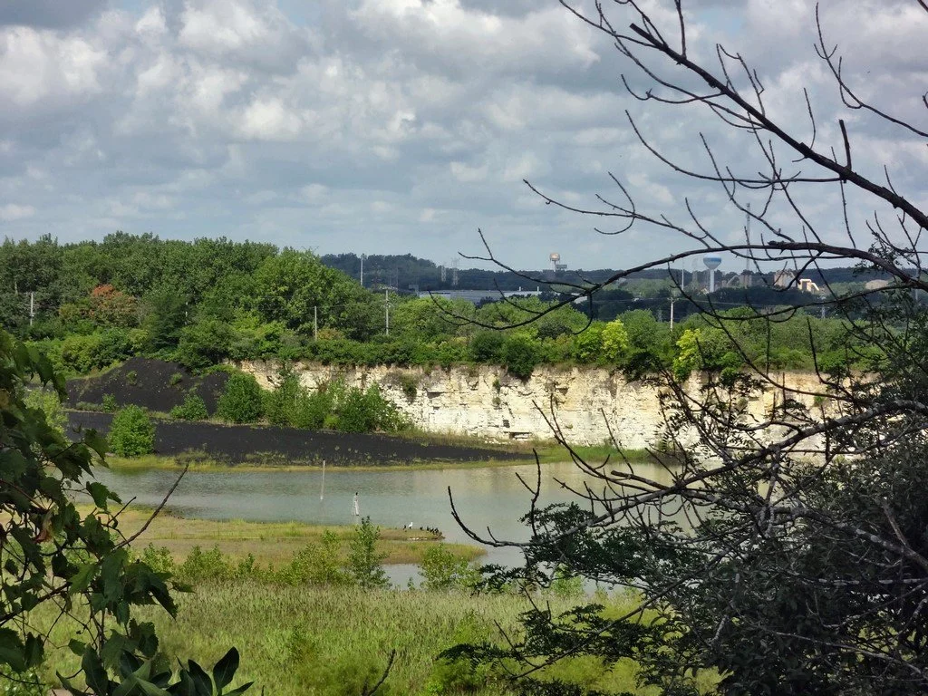 Our Work — CITIZENS AGAINST RUINING THE ENVIRONMENT