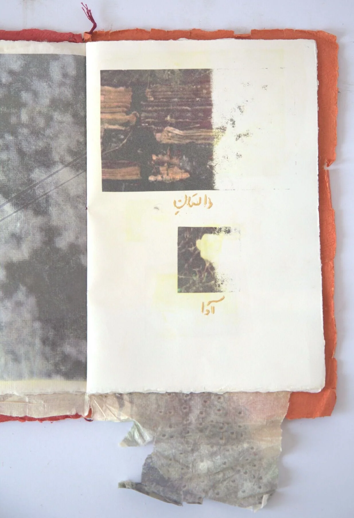 Tavoos / طاووس — Zaman Collective