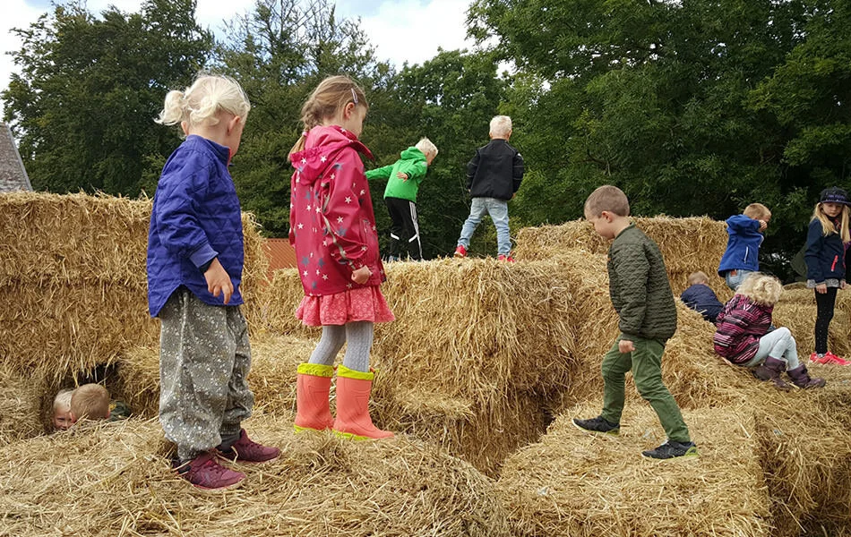 Opdag Barrit: En Perle i Hedensted Kommune med Rig Kultur