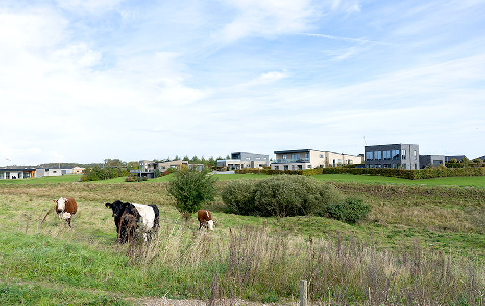 Hedensted By: Oplev Livet i Hjertet af Hedensted Kommune
