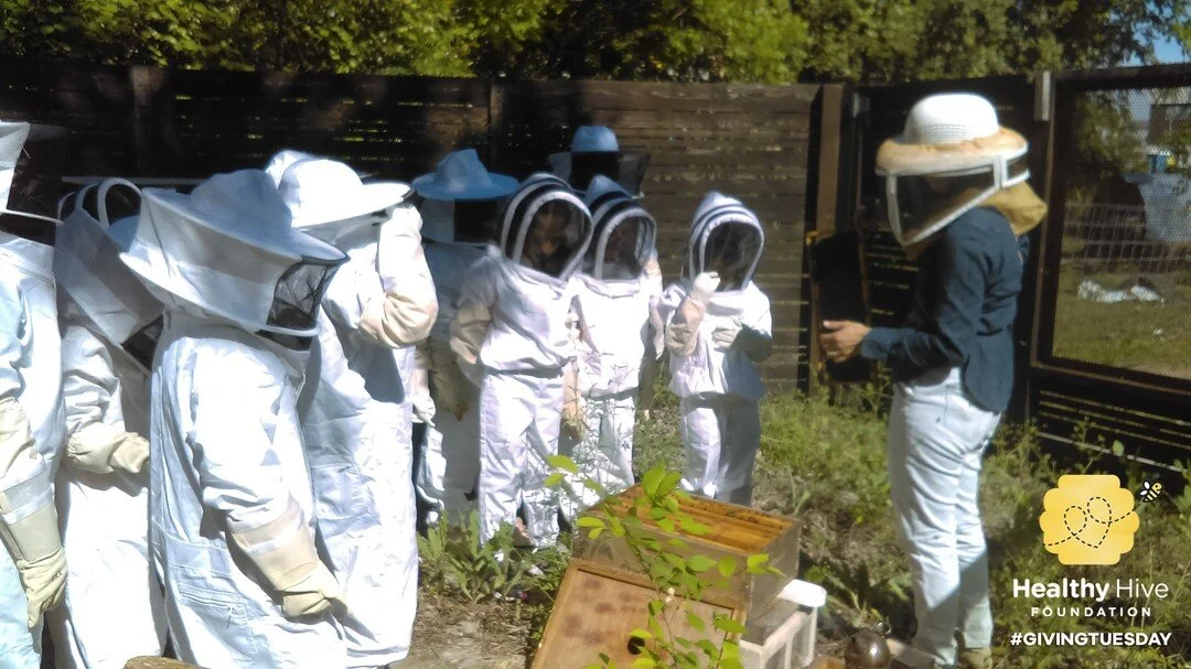 Healthy Hive Foundation