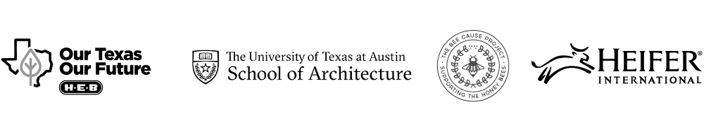 What We do — Healthy Hive Foundation