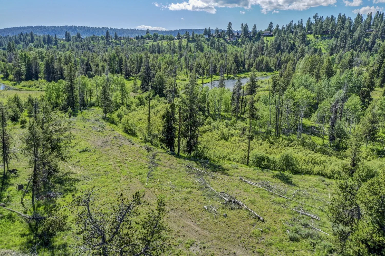 River Ranch McCall Idaho - Authentic Mountain Living