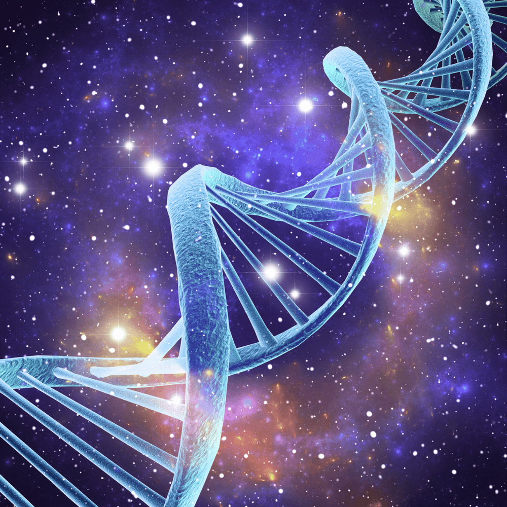 Weight Management Program in Danville and Champaign, IL — Two Roads Wellness Clinic®