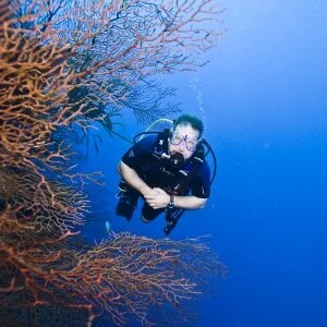 About Us | Blue Oasis Dive Centre