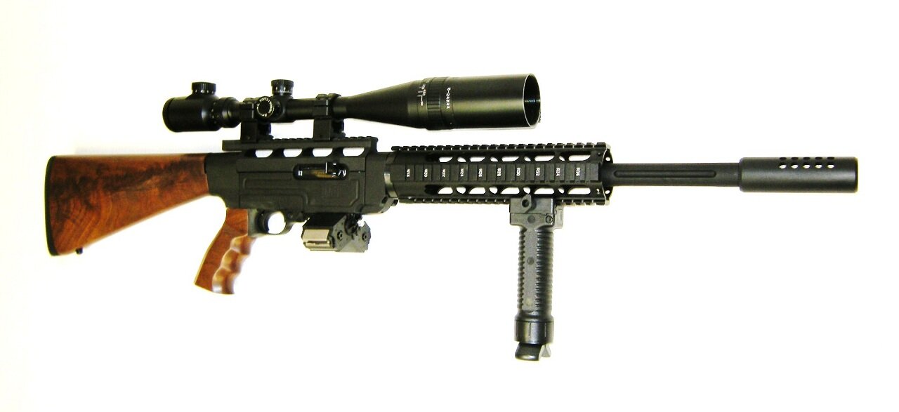 Heier's Custom Ruger 10/22s