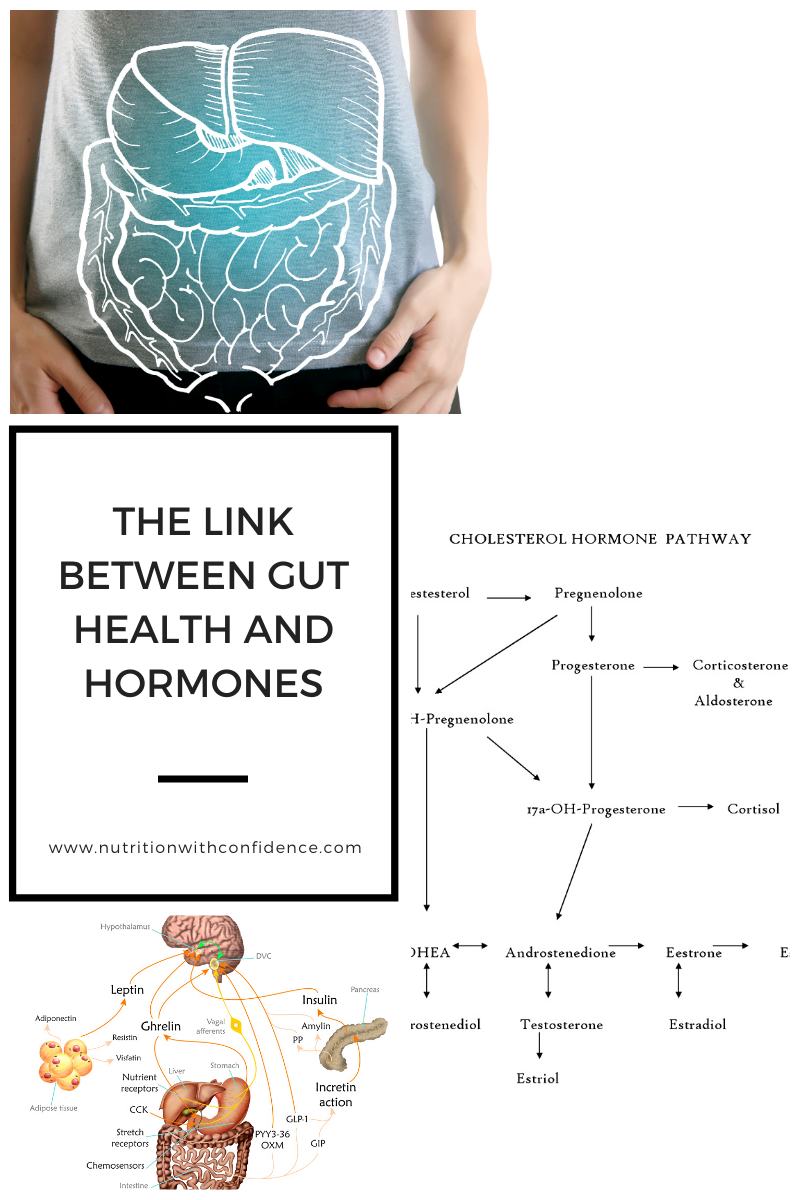 The Link Between Gut Health and Hormones — Nutrition With Confidence