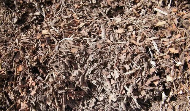Bark - Bark Mulch — Auckland Landscape Supplies