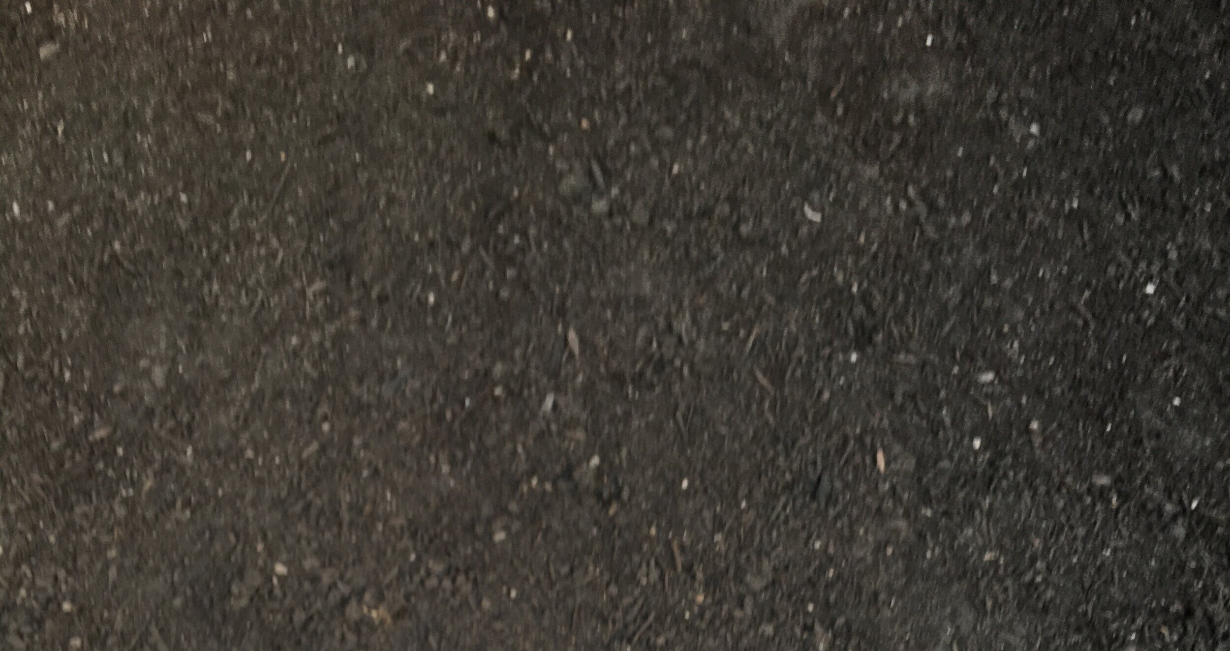 Growing Mixes - Premium Lawn Mix — Auckland Landscape Supplies