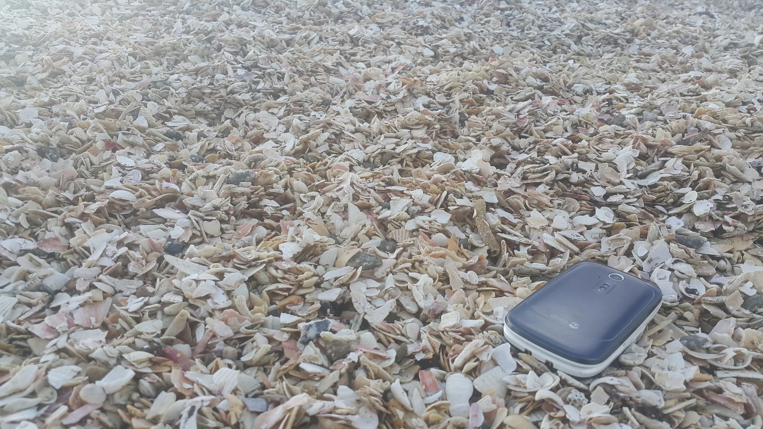 Chip & Fill - Crushed Shell — Auckland Landscape Supplies
