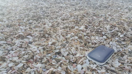 Chip & Fill - Crushed Shell — Auckland Landscape Supplies