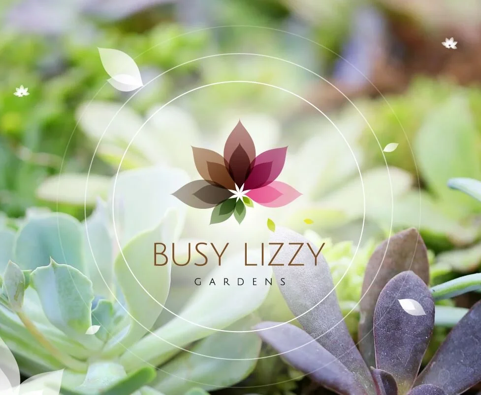 Landscape Gardeners - Busy Lizzy — Auckland Landscape Supplies