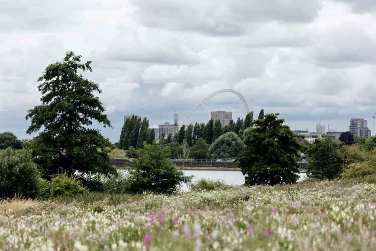 Self-guided walks — Footways