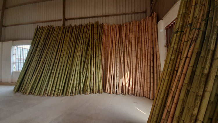 Sustainable Wood Manufacturing And Sourcing // How To Find Ethical ...